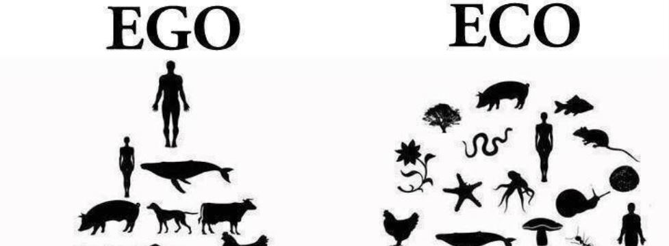 COLLASSO (parte 2) – DECIMO UOMO