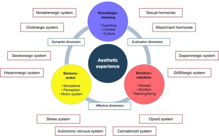 NEUROESTETICA. L’Empatia nelle Arti – DECIMO UOMO